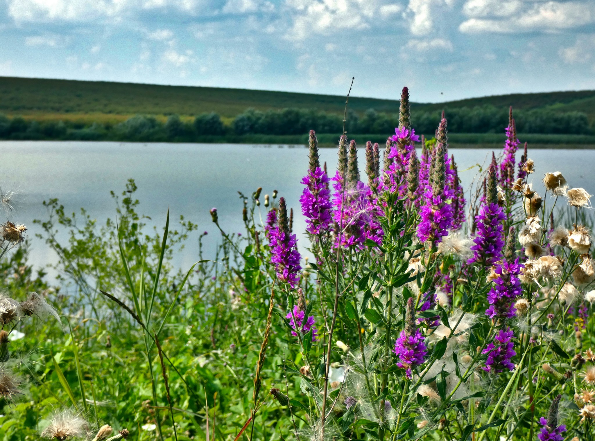 ABA Banat face selecția terenurilor pentru proiectul Land4Climate. Cum ...